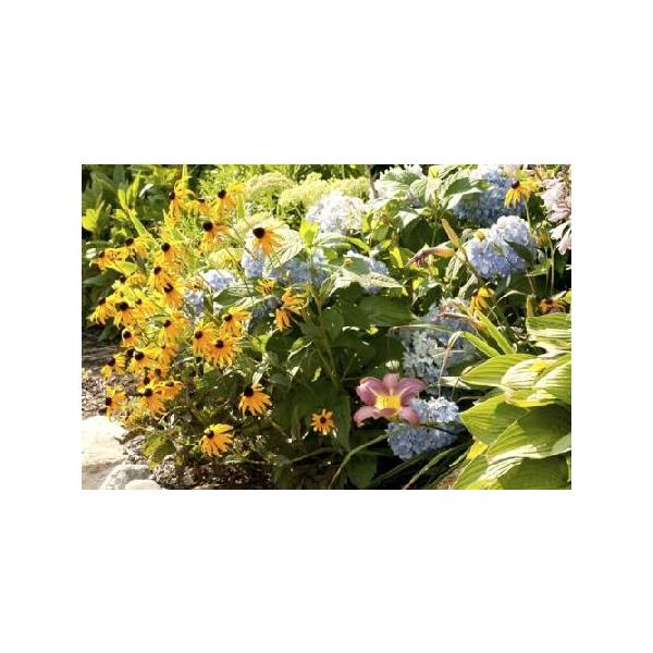 ■こちらの商品は海外倉庫からの取り寄せとなるため、お届けまでに5〜14営業日程度のお時間をいただいております。■ご注文後の取り寄せ状況はメールにて随時お知らせ致します。■稀に輸送による外箱のダメージや、税関検査による開封跡がある場合がござい...