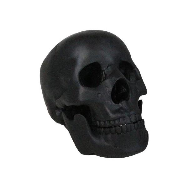 ■こちらの商品は海外倉庫からの取り寄せとなるため、お届けまでに5〜14営業日程度のお時間をいただいております。■ご注文後の取り寄せ状況はメールにて随時お知らせ致します。■稀に輸送による外箱のダメージや、税関検査による開封跡がある場合がござい...