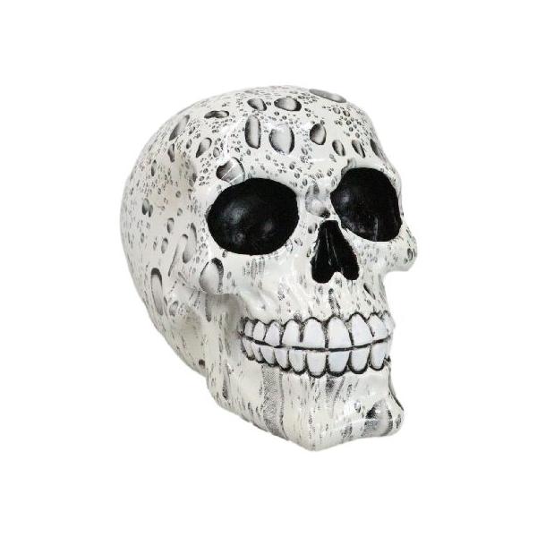 ■こちらの商品は海外倉庫からの取り寄せとなるため、お届けまでに5〜14営業日程度のお時間をいただいております。■ご注文後の取り寄せ状況はメールにて随時お知らせ致します。■稀に輸送による外箱のダメージや、税関検査による開封跡がある場合がござい...