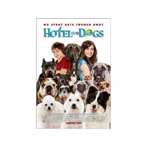 ■こちらの商品は海外倉庫からの取り寄せとなるため、お届けまでに5〜14営業日程度のお時間をいただいております。■ご注文後の取り寄せ状況はメールにて随時お知らせ致します。■稀に輸送による外箱のダメージや、税関検査による開封跡がある場合がござい...