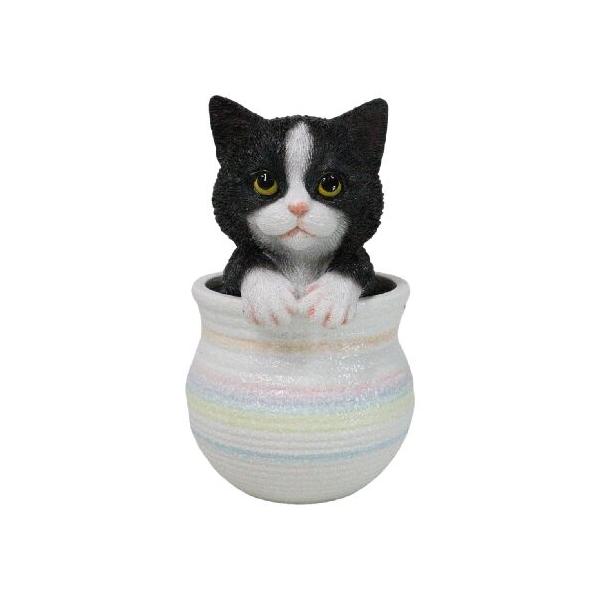 ■こちらの商品は海外倉庫からの取り寄せとなるため、お届けまでに5〜14営業日程度のお時間をいただいております。■ご注文後の取り寄せ状況はメールにて随時お知らせ致します。■稀に輸送による外箱のダメージや、税関検査による開封跡がある場合がござい...