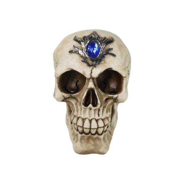 ■こちらの商品は海外倉庫からの取り寄せとなるため、お届けまでに5〜14営業日程度のお時間をいただいております。■ご注文後の取り寄せ状況はメールにて随時お知らせ致します。■稀に輸送による外箱のダメージや、税関検査による開封跡がある場合がござい...