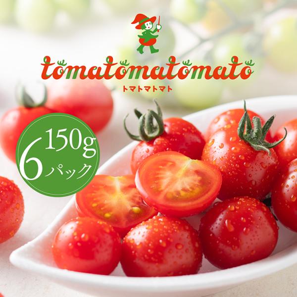 ━━━━━━━━━━━━━━━━━━◆ トマトマトマトとは━━━━━━━━━━━━━━━━━━淡路島産の高糖度ミニトマト。品種はキャロルパッション。ぷちっと皮がはじけ、まず甘みが広がり、そのあとにトマトらしい旨みの余韻が残ります。一粒食べる...