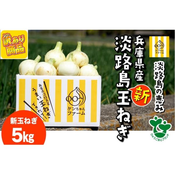 ーーー ご 注 意 ーーーこの商品は「訳あり」として出品しているものです。味は変わりませんが、傷、皮むけ、規格外（S,３L,変形）、黒い炭のような筋が入っている、割った時少し茶色くなっている(ほとんどが食べられる部分)等の理由で訳あり品とし...