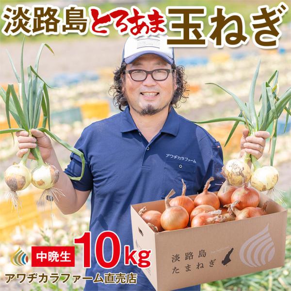 名称：淡路島産 玉ねぎ とろ甘内容量：訳アリ 10kg保存方法：直射日光のあたらない風通しのよい場所で２週間以内に消費することを推奨します。生産地：淡路島訳アリ：規格外サイズ、変形、皮剥け、キズ有 が混在する場合があります商品紹介文四方を海...