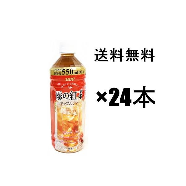アップルティー　霧の紅茶　550ペット×24本セット　/　全国送料無料沖縄人気のアップルティー　懐かしいおいしさ