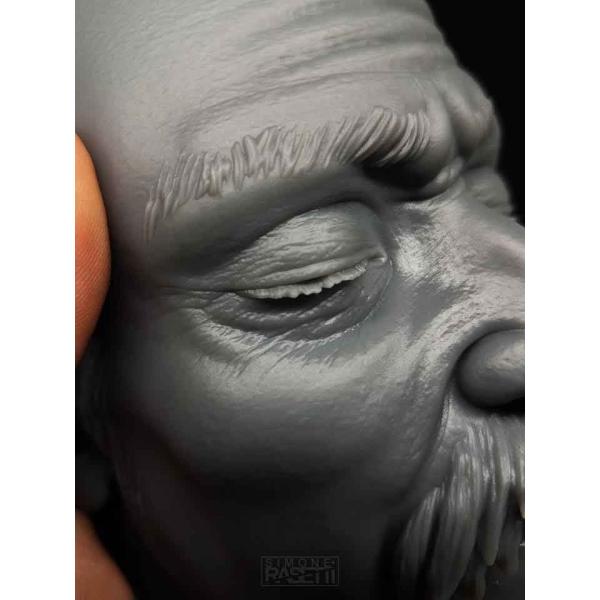 Peopoly 光造形レーザーSLA 3DプリンターMOAI用 ネックスレジン(グレーHitemp） １KG■グレー■1KG■波長：405nm■対応機種： 光造形レーザーSLA方式 プリンター（Form2,MOAIなど）