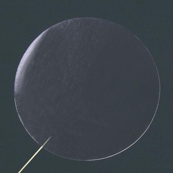 ※多くのお客様に可能な限り最短で配送するためにも、置き配での配送にご理解・ご了承願います。【商品名】　未開封シール 封印シール 1000枚 透明 丸 クリア 円 封緘シール (透明, 30mm) 【商品説明】　・【未開封シール - サイズ】...