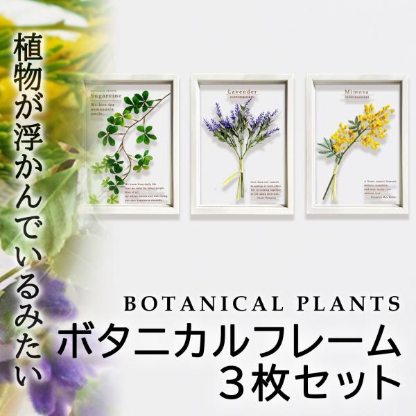 両面ガラスにフェイクグリーン＆フラワー（模造の葉っぱやお花）を収めた壁飾り。あゆわらで1点1点手作りしているこだわりの作品。壁掛けなので場所いらず、水やりなしの手間いらず。 枯れないので、ずっとお部屋を彩ってくれる逸品です。アートフォト・水...