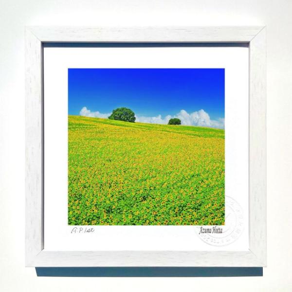 仕様サイズW22×H22×D2cm重さ約0.4kg素材天然木・ガラス・紙（ジクレー版画）・ひも特徴木製丸棒（立てかけ用）付き。壁掛け・立てかけ両対応。