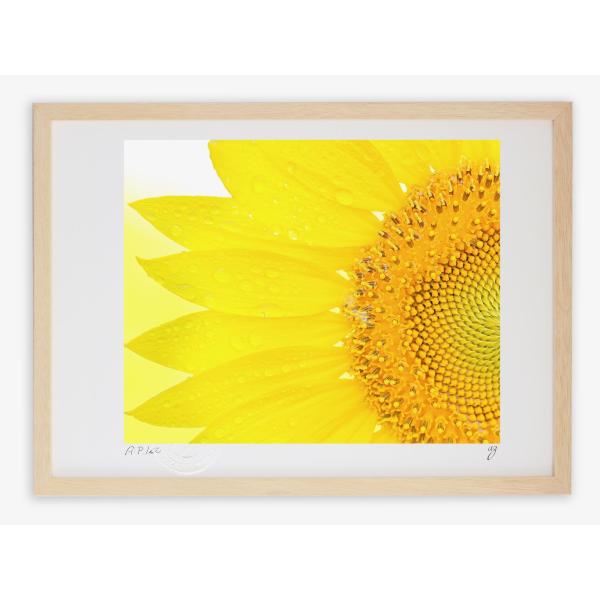 【サイズ】フレーム：438 × 315 mm、版画：420 × 297mm (余白含む）【重さ】 約1kg【内容物】ジクレー版画：1枚（署名・エディション番号入り）、額縁（フレーム）：1個（アクリルガラス・台紙・ひも付き） 、壁掛けフック：...