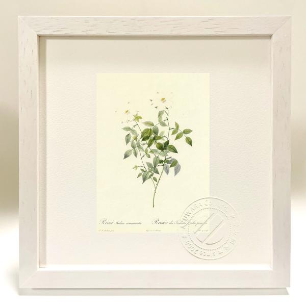 アートフォト・水彩画・リーフパネル・風景画などの絵画・アートフレーム、フォトフレームなどをインテリアとしてお部屋に飾り、癒やしの空間を演出しませんか？新築祝い、開店祝い、結婚祝い、出産祝いや誕生祝いなどのおしゃれなギフト（プレゼント）として...