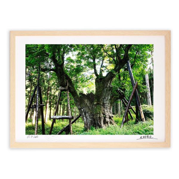アートフォト・水彩画・リーフパネル・風景画などの絵画・アートフレーム、フォトフレームなどをインテリアとしてお部屋に飾り、癒やしの空間を演出しませんか？新築祝い、開店祝い、結婚祝い、出産祝いや誕生祝いなどのおしゃれなギフト（プレゼント）として...