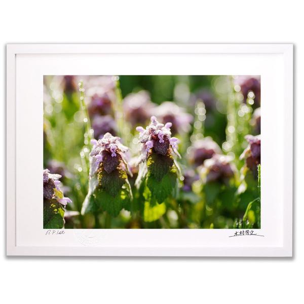 アートフォト・水彩画・リーフパネル・風景画などの絵画・アートフレーム、フォトフレームなどをインテリアとしてお部屋に飾り、癒やしの空間を演出しませんか？新築祝い、開店祝い、結婚祝い、出産祝いや誕生祝いなどのおしゃれなギフト（プレゼント）として...