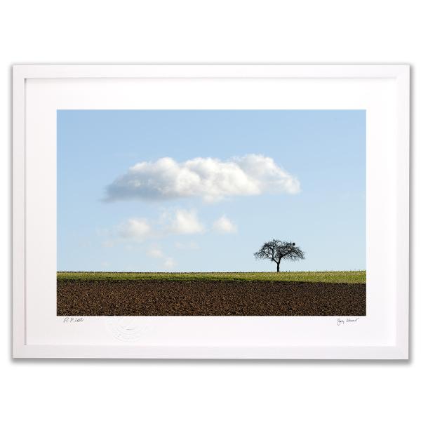 アートフォト・水彩画・リーフパネル・風景画などの絵画・アートフレーム、フォトフレームなどをインテリアとしてお部屋に飾り、癒やしの空間を演出しませんか？新築祝い、開店祝い、結婚祝い、出産祝いや誕生祝いなどのおしゃれなギフト（プレゼント）として...