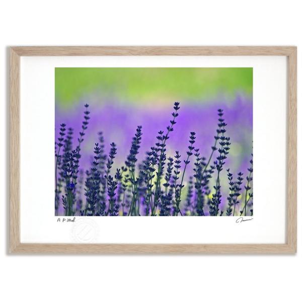 アートフォト・水彩画・リーフパネル・風景画などの絵画・アートフレーム、フォトフレームなどをインテリアとしてお部屋に飾り、癒やしの空間を演出しませんか？新築祝い、開店祝い、結婚祝い、出産祝いや誕生祝いなどのおしゃれなギフト（プレゼント）として...