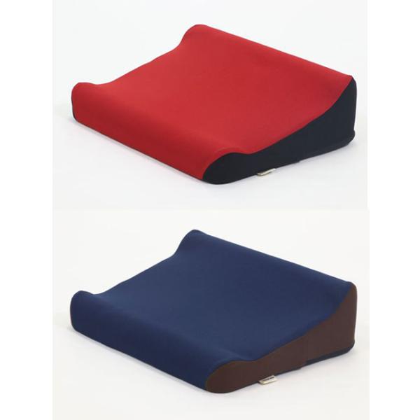 ★送料無料のお店です！※メーカーから直送（代引き不可・沖縄離島は不可）「正規品」TV通販で売れております座るだけでハムストリングスを適度にストレッチし正しい姿勢へ。立ち上がりをサポート。身体を知り尽くした清水ろっかん先生独自のエルゴノミクス...