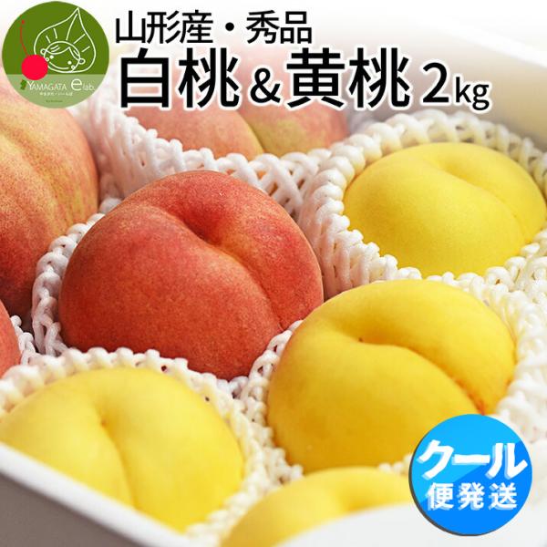 【発売日：2025年09月05日】生産元：山形県天童産品　種：白桃　あかつき・川中島白桃・美月他黄金桃 黄貴妃他　(品種の指定は承れません)　内容量：白桃・黄桃　合わせて約2kg（5〜9玉程度）　秀品賞味期限：他の桃同様、香りのする桃からで...