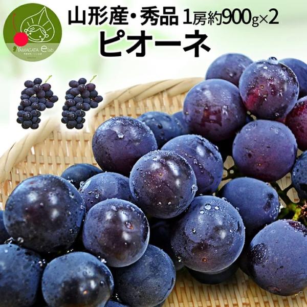 【発売日：2026年09月25日】■納品書および領収書はネット上発行できるようになりました。　注文後当店より届くメールに発行URLを記載しておりますので、ご確認ください。★9月下旬以降発送　予約商品★●商品名　：　山形県産  ピオーネ 2房...