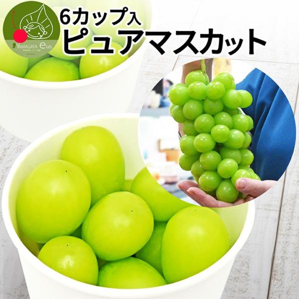 【発売日：2026年10月08日】■納品書および領収書はネット上発行できるようになりました。　注文後当店より届くメールに発行URLを記載しておりますので、ご確認ください。商品名：ピュアマスカット６カップ容　量：約720g(120g×6カップ...