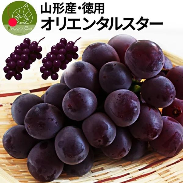 【発売日：2026年09月25日】■生産元：山形県東根 天童産■品　種：オリエンタルスター■内容量：オリエンタルスター　2房(1房約500g前後)■賞味期限：大変デリケートな果物です。到着後はすぐに開封し、お早めにお召し上がりくださいませ。...