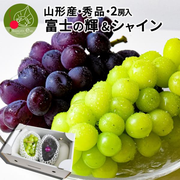 【発売日：2026年10月01日】