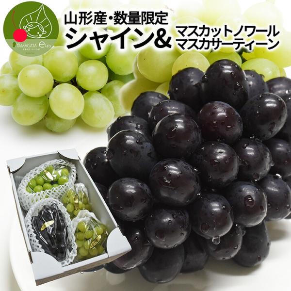 【発売日：2026年10月05日】■生産元：山形県東根 天童産■品　種：シャインマスカット/マスカットノワール/マスカサーティーン■内容量：シャインマスカット(600〜700g)、マスカットノワール、マスカサーティーン　約1.7kg　(3〜...