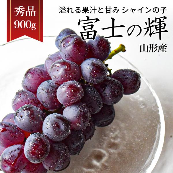 【発売日：2026年10月01日】