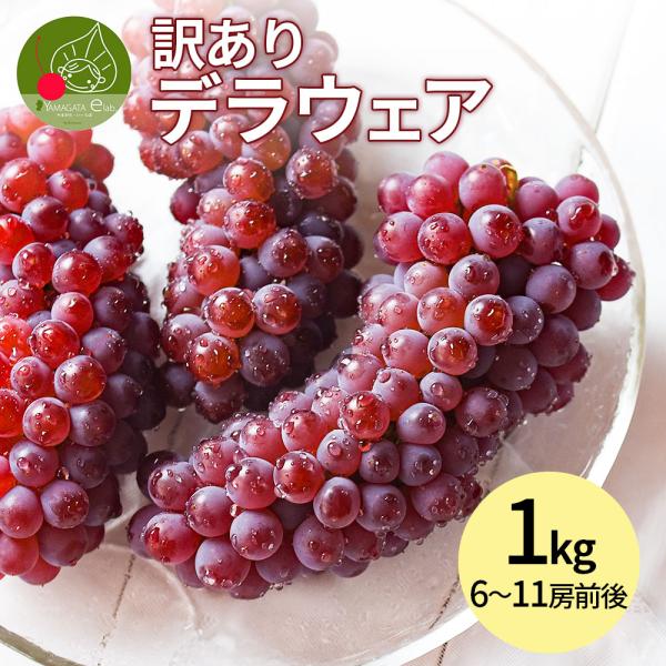 【発売日：2026年08月05日】