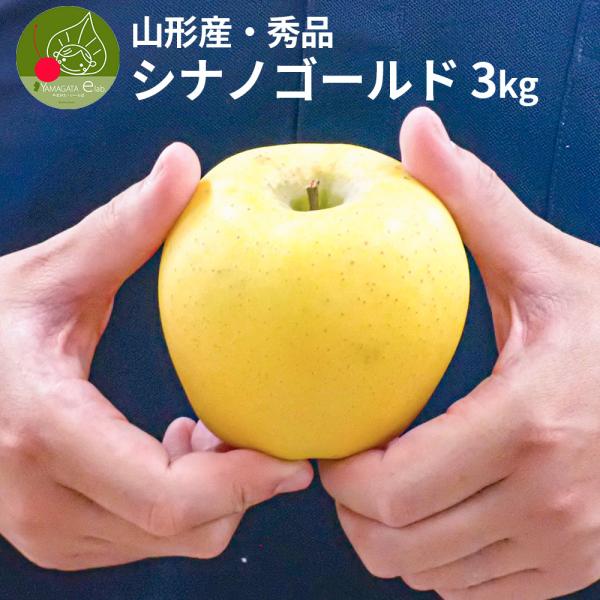 【発売日：2026年11月20日】