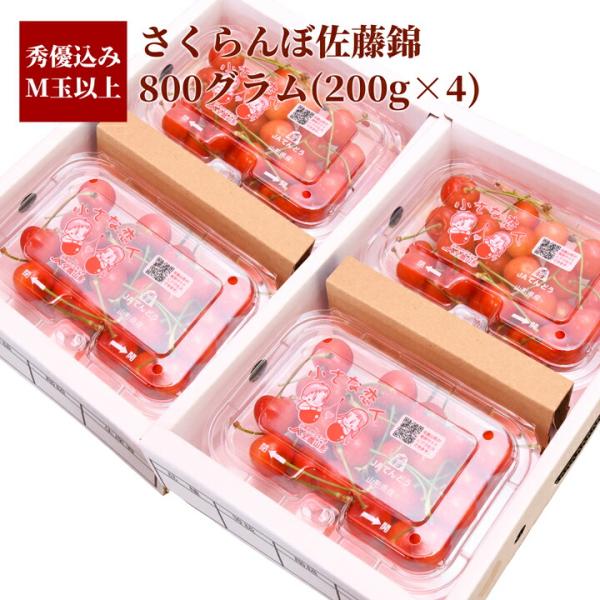 【発売日：2026年06月15日】■納品書および領収書はネット上発行できるようになりました。　注文後当店より届くメールに発行URLを記載しておりますので、ご確認ください。◆商品詳細情報・生産元：山形県東根 天童産・品　種：さくらんぼ　佐藤錦...