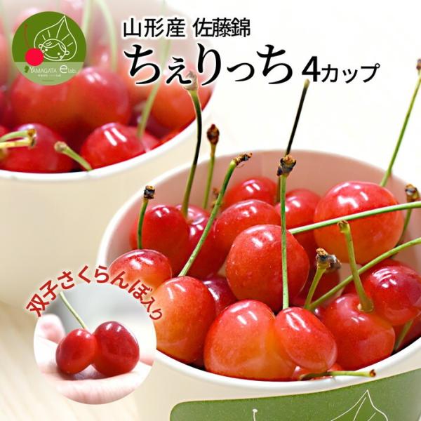 【発売日：2026年06月15日】