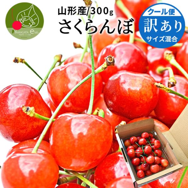 【発売日：2026年06月15日】★6月中旬頃発送　予約商品★■商品名　：　山形県産さくらんぼ 訳あり 品種お任せ 1kg■生産地　：　山形県天童市、東根市■内容量　：　約300g　*玉数、サイズ指定不可■規格　：　訳ありご家庭用*品種は佐...