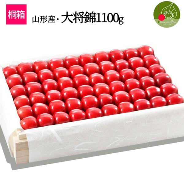 【発売日：2026年06月25日】■納品書および領収書はネット上発行できるようになりました。　注文後当店より届くメールに発行URLを記載しておりますので、ご確認ください。生産元：山形県山辺産品　種：【特選】さくらんぼ　大将錦内容量：【特選】...