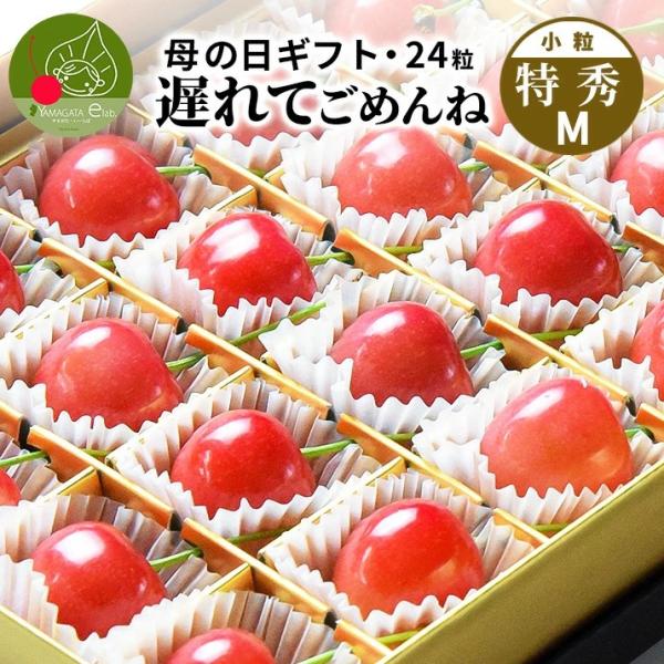 【発売日：2026年05月05日】● 商品名：山形県産 佐藤錦（温室栽培 / 加温）● 品種：佐藤錦(さとうにしき)● 等級：格付：特秀● サイズ：M● 内容量：24粒入り（約120g）● 産地：山形県（東根・天童産）● 発送時期：4月・5...