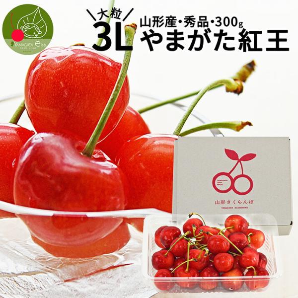 【発売日：2026年06月20日】■名称：さくらんぼ　紅王/　秀品■内容量：300g(約25〜30粒前後)■賞味期限：生物のためお早めに召し上がりください■保存方法：要冷蔵（10度以下）■発送方法：クール便（冷蔵）沖縄・離島へはお届けできま...