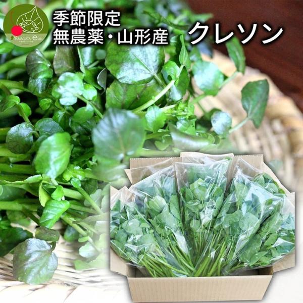 ■商品名：山形県産　クレソン　40g×10束■産地：国内産(山形県産)■内容量：40g×10束■原材料：クレソン(無農薬栽培)■発送方法：冷蔵便■送　料：通常送料がかかります■販売者名：山形県天童市久野本三丁目１−３３株式会社 緑茶園
