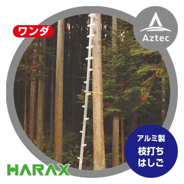 ワンダアルミ製 枝打はしごオプション※写真はWR-45（WR-30と中はしご WR-H15のセット品）です。※上ハシゴと下ハシゴは別売りです。中はしご WR-H15全長：164cm有効長：150cm重量：2.1kg連結部：ボルト（六角レンチ...