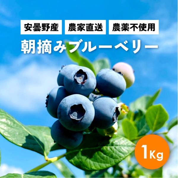 【発売日：2026年07月01日】甘いものから酸っぱいものまで様々な味わいが楽しめます！そのまま食べるのはもちろん、デザートや自家製ジャムの材料としても活躍します。自然豊かな環境で育まれたブルーベリーが、あなたの食卓をより豊かに彩ります！＜...