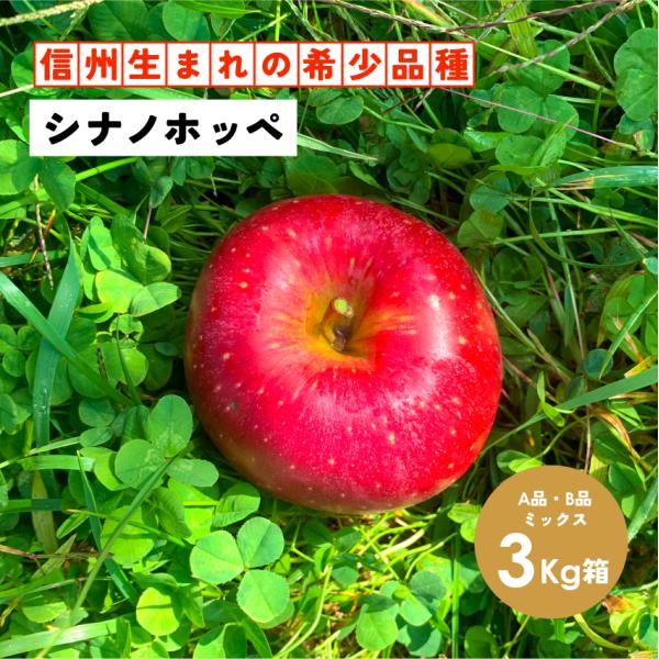 【発売日：2026年11月01日】シナノがつく信州生まれの品種ラストです。写真映え抜群！しっかりとした硬めの果肉なので噛むごとに甘みと心地の良い酸味を味わうことができます。■安曇野産　シナノホッペ　A品B品ミックス・家庭用も入るので、少し形...
