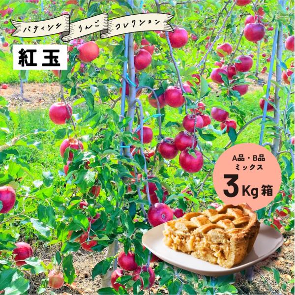 【発売日：2026年09月01日】酸味が多いのが特徴。加熱しても煮崩れしにくいため、お菓子の材料として活躍してくれます。全国のスイーツ屋さんに出荷しています。紅玉は9月下旬で収穫が終わり、生食は徐々に軟化します。加工は可能です。食感のクレー...
