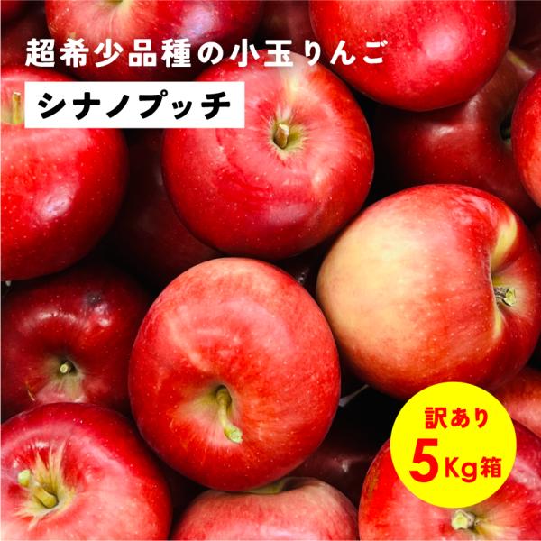 【発売日：2026年09月01日】歯切れの良いパリパリとした果肉と朗らかな甘みのコンビネーションは「最高」の一言。あっという間に一個食べ切ってしまうこと、間違いなしです。朝食にはもちろん、食後のデザートにもおすすめです。■安曇野産　シナノプ...