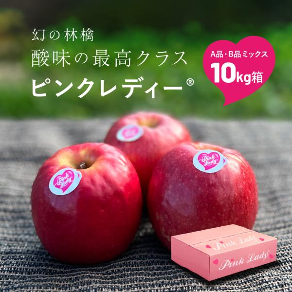 強い酸味が特徴的です！食べ応えがある食感の濃い味の酸っぱいりんごです。時間が経っても柔らかくならないので、加工もOK。甘いりんごに飽きた玄人の方におすすめ！国内生産者約50名と、希少なライセンス性のりんごです。■安曇野産　ピンクレディー　A...