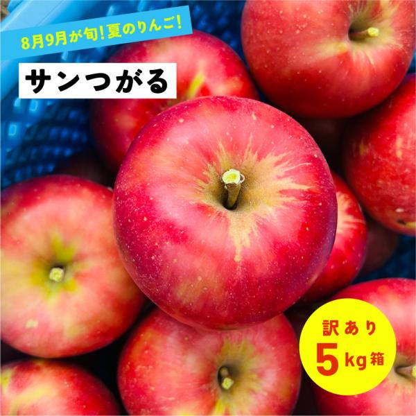 【発売日：2026年08月01日】サンつがる特徴夏の渇いた喉を潤してくれる。果汁たっぷりの甘いりんごです。その甘みはサッパリとして喉越しが良く、また後味もスッキリとしています。こちらの商品は同梱できません。商品がお客様に届き次第、同じ商品の...