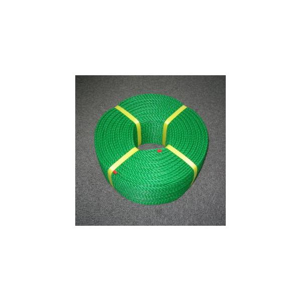 一般的な三ツ打ポリロープです。テント張り・物干し用・仕切り用などにもご利用ください。