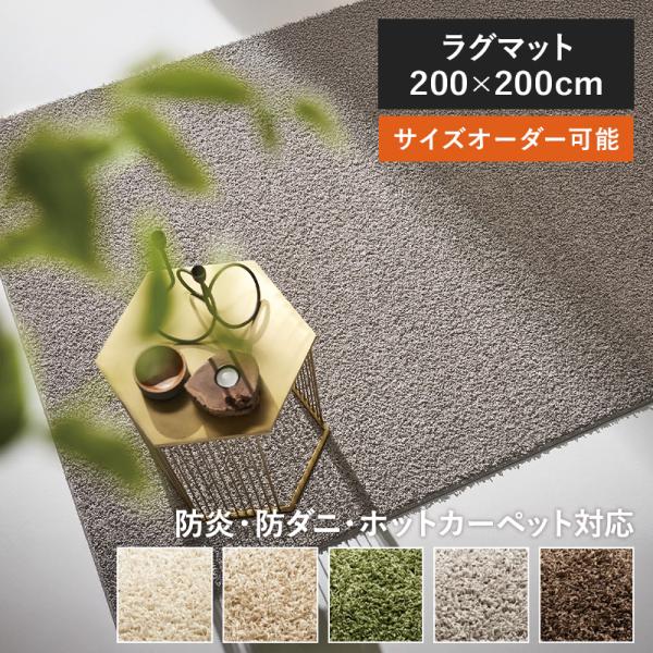 _※メーカー直送便につき、代金引換以外のお支払方法にでご利用下さいます様お願い致します。■商品名スミトロンニューツイスティ■素材ポリエステル100%■サイズ200cm×200cm(ラグサイズ)■パイル長7〜21mm■原産国日本製■機能・防ダ...