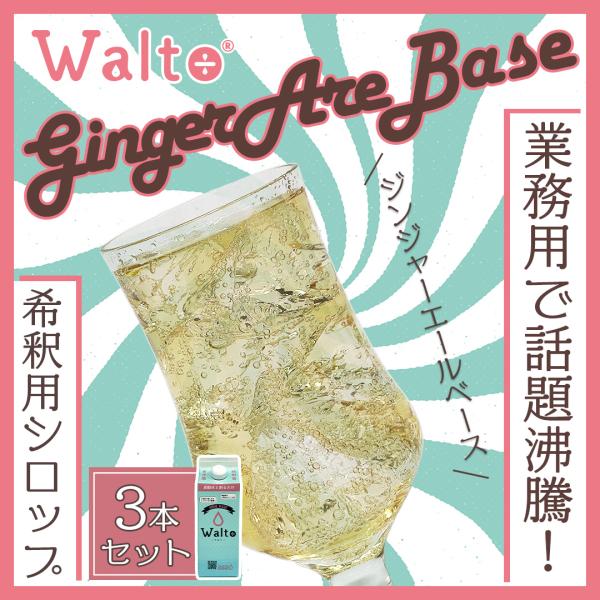 【発売日：2025年12月15日】【  ソーダと"割ると"ジンジャーエールに♪ 】 業務用のソフトドリンク原液として、大注目のWalto(ワルト)シリーズからご家庭でも楽しめる小容量サイズが新登場！・・・・・・商品情報・・・・・・●名称：清...