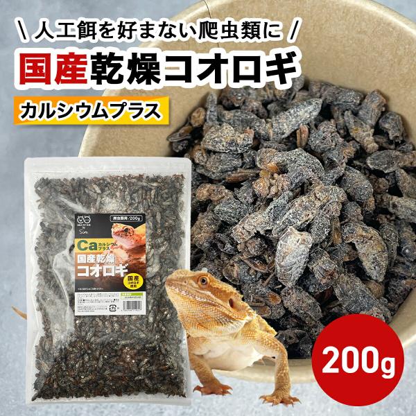 商品名：爬虫類用 国産乾燥コオロギ カルシウムプラス【200g】説明：爬虫類用の国産乾燥コオロギです。 日本国内の工場で、飼料からこだわったフタボシコオロギで、爬虫類の飼育用のエサとして徹底した管理をおこなっています。 また、爬虫類に必須の...