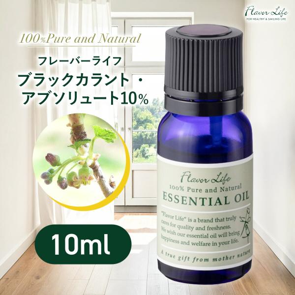 説明 フレーバーライフが厳選したブラックカラント・アブソリュート10％精油。カシスの花芽から抽出した、ほのかにベリーを感じるフルーティーで心地よい香りが魅力です。香水やアロマブレンドに深みと上品さをプラスし、日常に華やかさを添えます。天然成...
