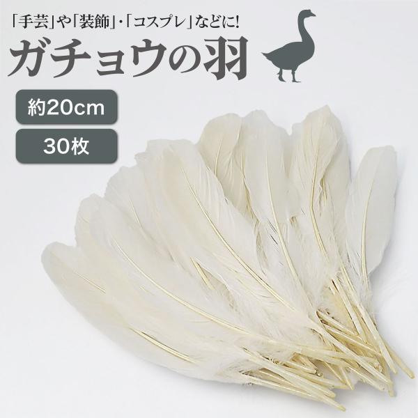 この高品質のガチョウの羽根は、約20cmの長さで30枚セットになっています。コスプレや手芸プロジェクトに最適。手作りアクセサリー作りでピアスやイヤリング、ネックレスなどに独自のアクセントを加えることができます。